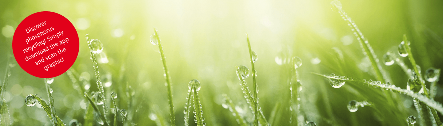 REMONDIS Aqua TetraPhos AR // REMONDIS Aqua Stoffstrom